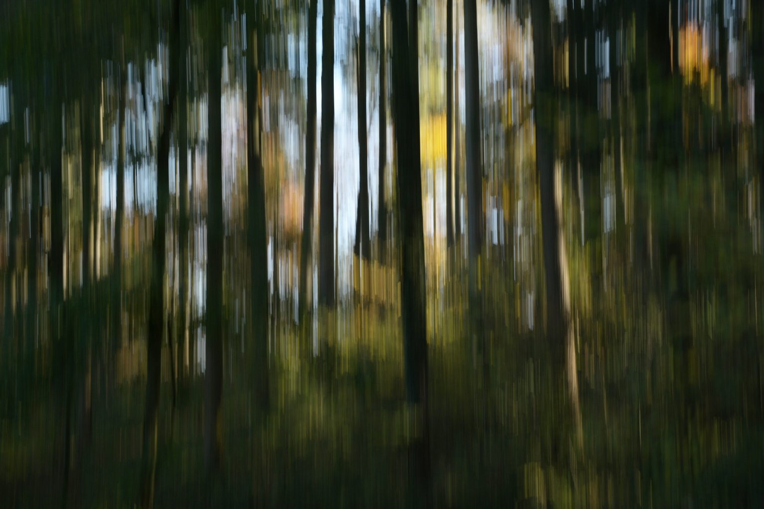 SIMONE MACK - Simone Mack, Malerei, Skulptur, Fotografie